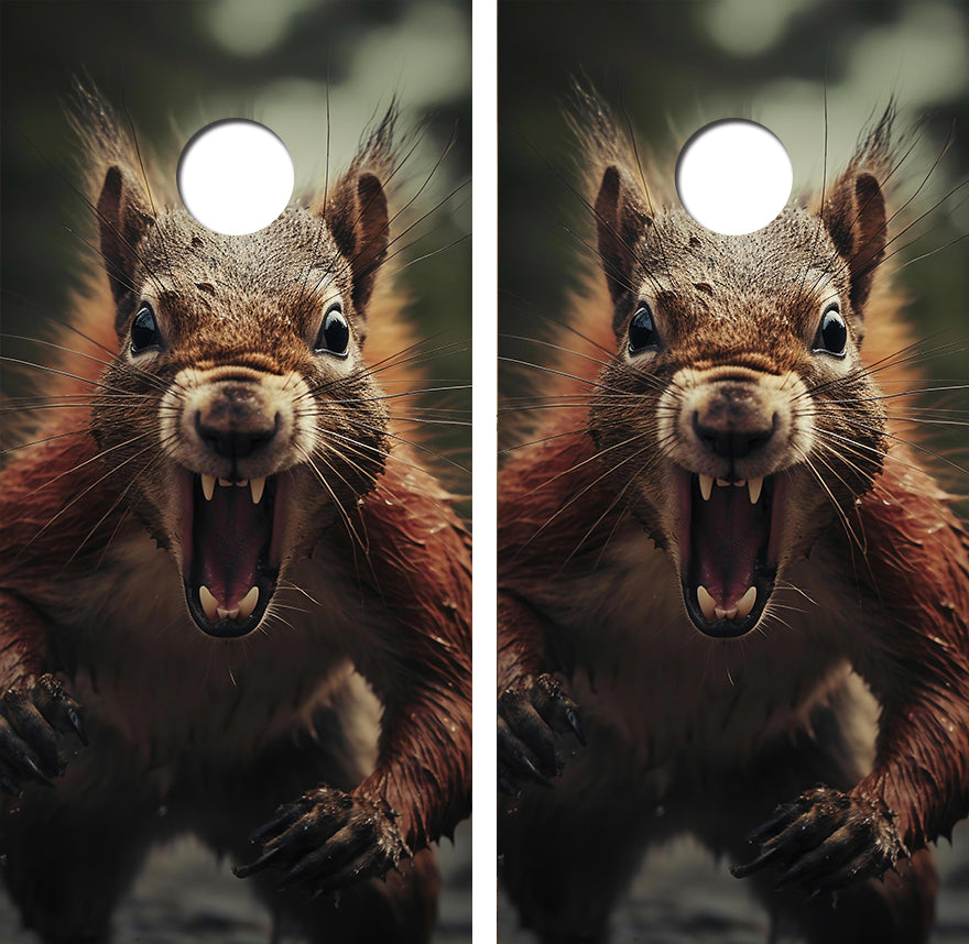 Angry Squirrel Pictures