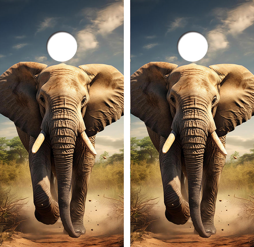 Premium Cornhole Wraps: Elevate Your Game with Vibrant Designs | Ripper ...