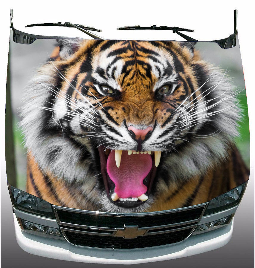 Hood Wraps — Ripper Graphics