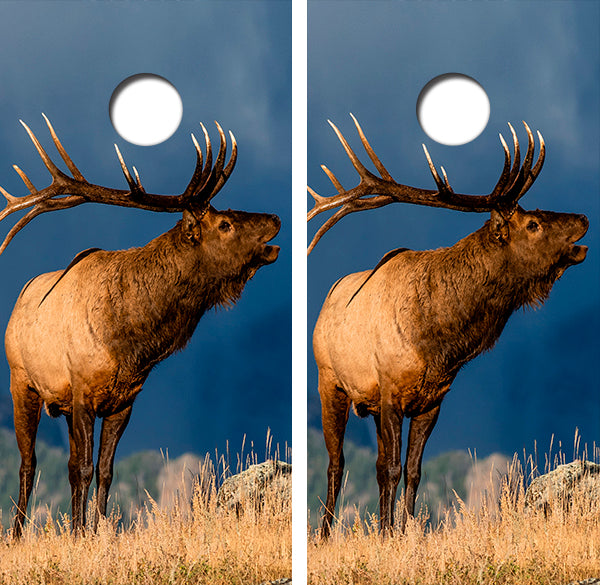 Bull Elk Decals